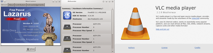 PasLibVlc - VideoLAN player inside Delphi, Lazarus, FreePascal application